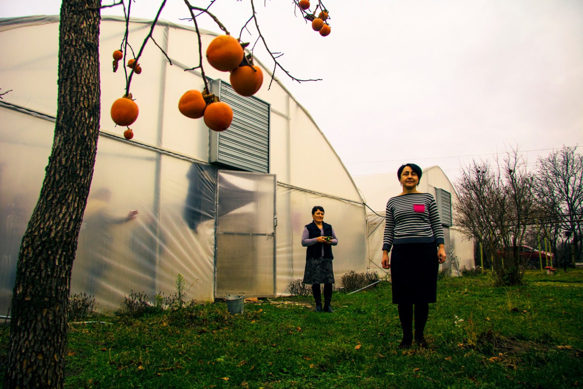 Dali Veshaguridze, 52, Zemo Alvani - WomenOfGeorgia